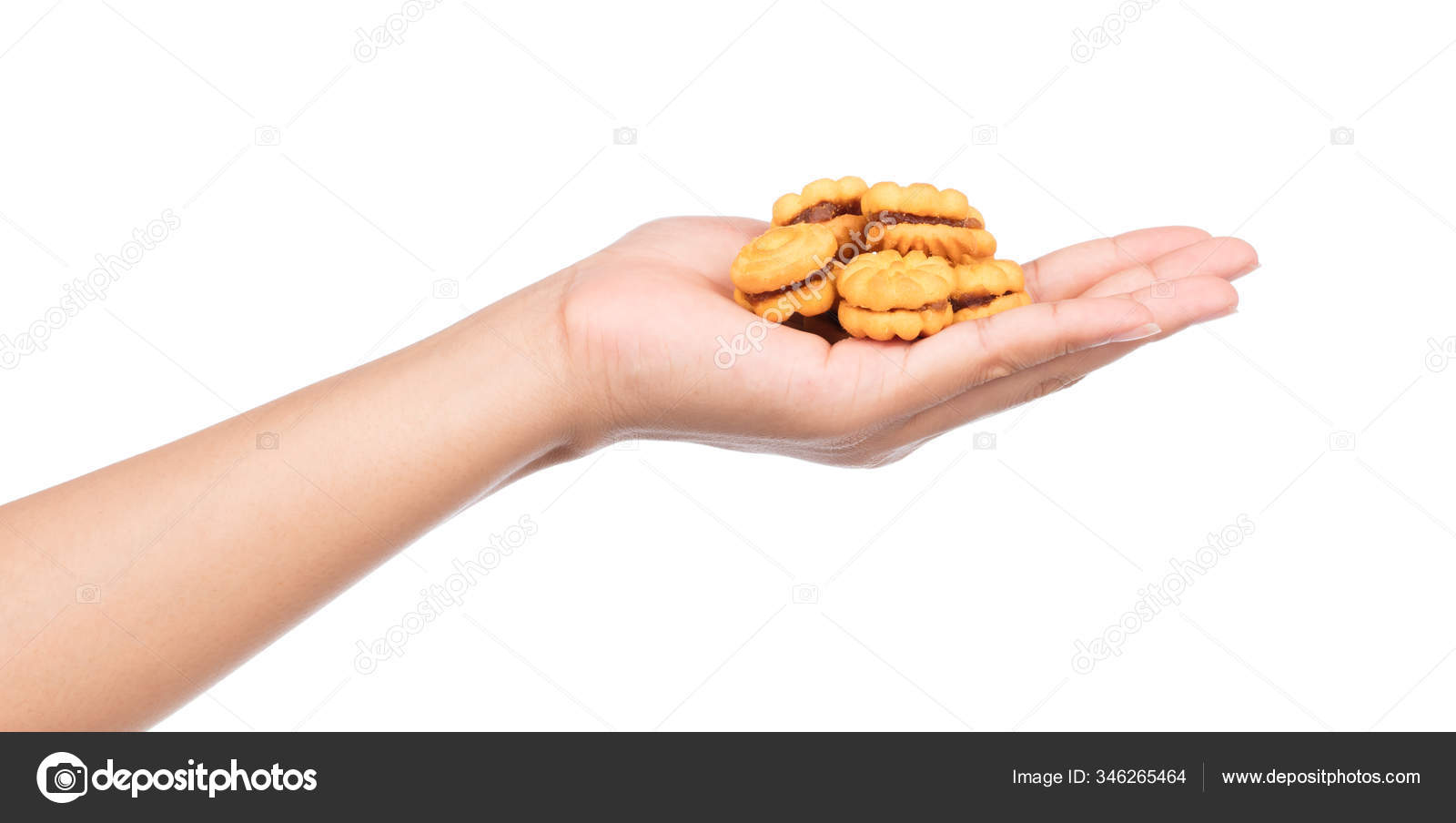 Hand Holding Cookie Isolated White Background — Stock Photo ...