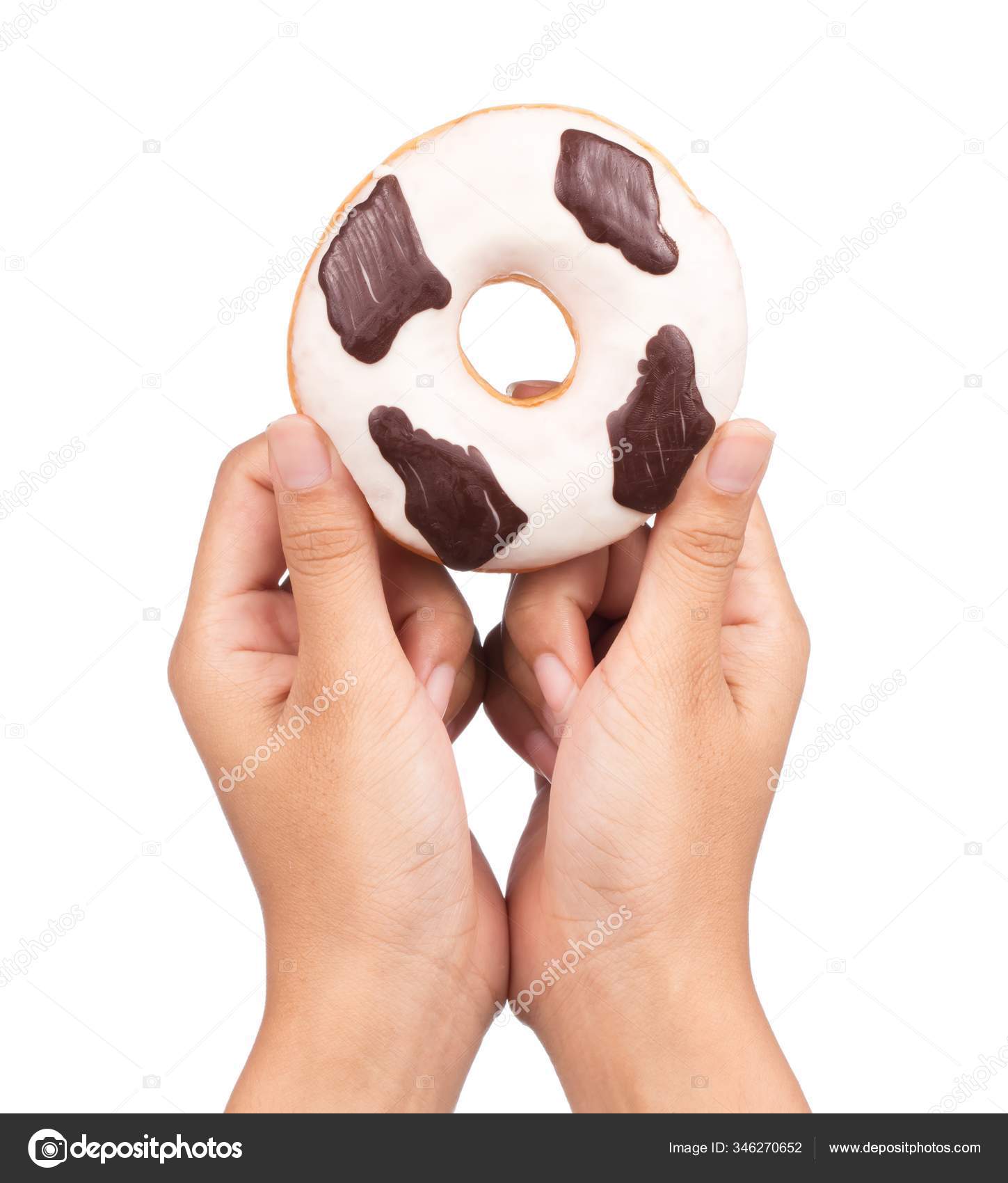 Hand Holding Bite Chocolate Donut Cow Pattern Isolated White Background ...