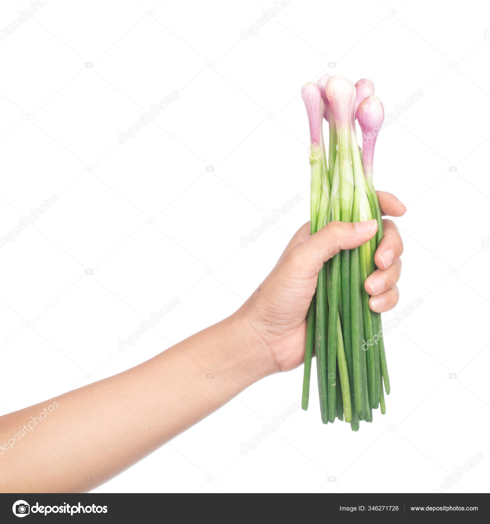 Hand Holding Onion Spring Isolated White Background — Stock Photo ...
