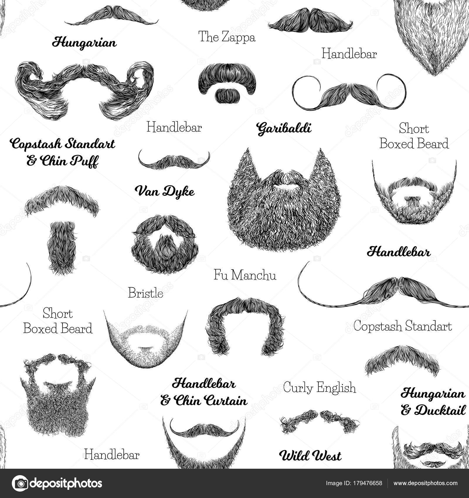 Types Of Beards Names