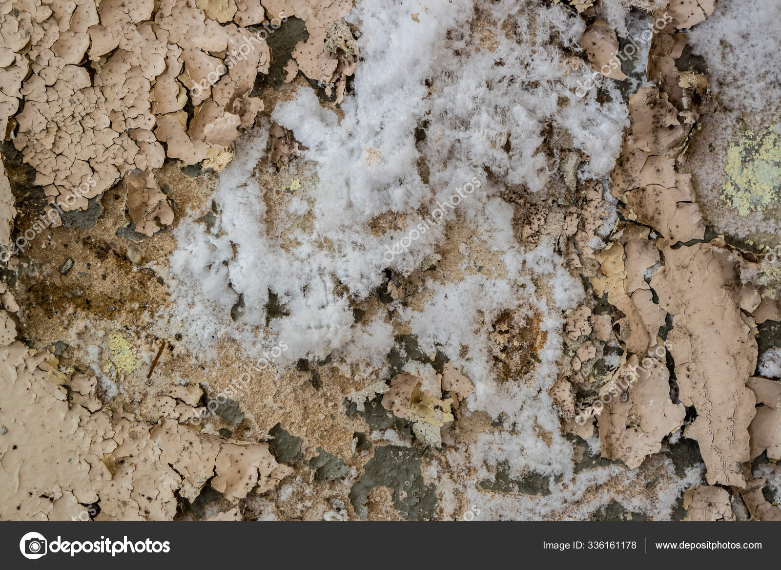 Saltpeter on the wall after a flood Stock Photo by ©Animaflora ...