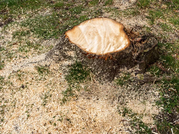 Bitacora de servicio fotos de stock, imágenes de Bitacora de servicio ...