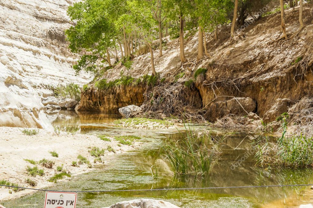 El Nahal Zin, En Akev en el desierto del Negev, Israel 2022