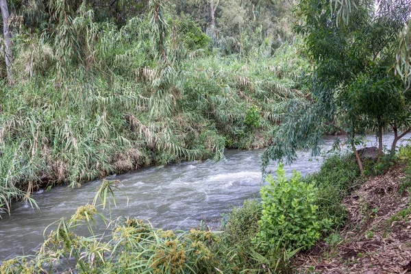 The Jordan River, Israel - Stock Image - Everypixel