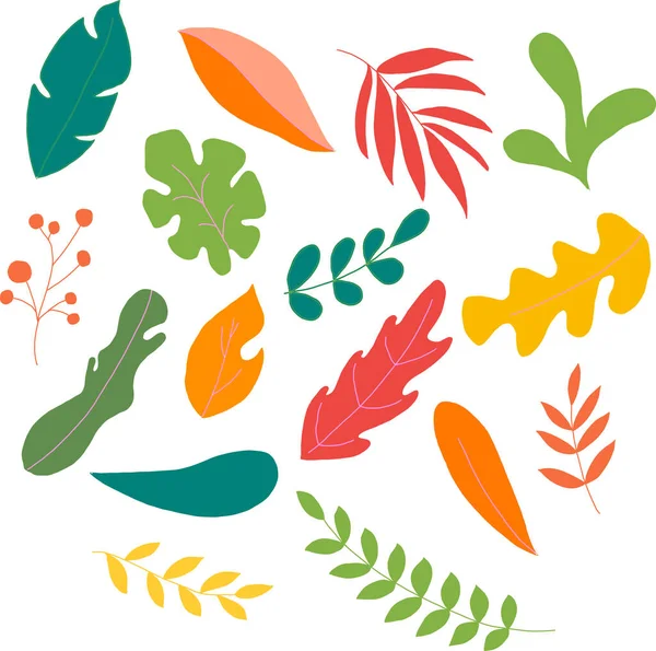 100,000 Leaves clipart Vector Images | Depositphotos