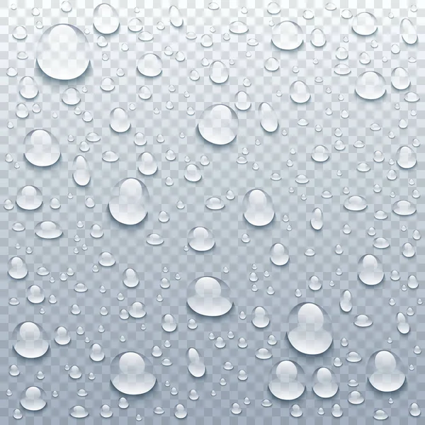 Vector realistic water drops on transparent background. Rain drops without shadows for ...