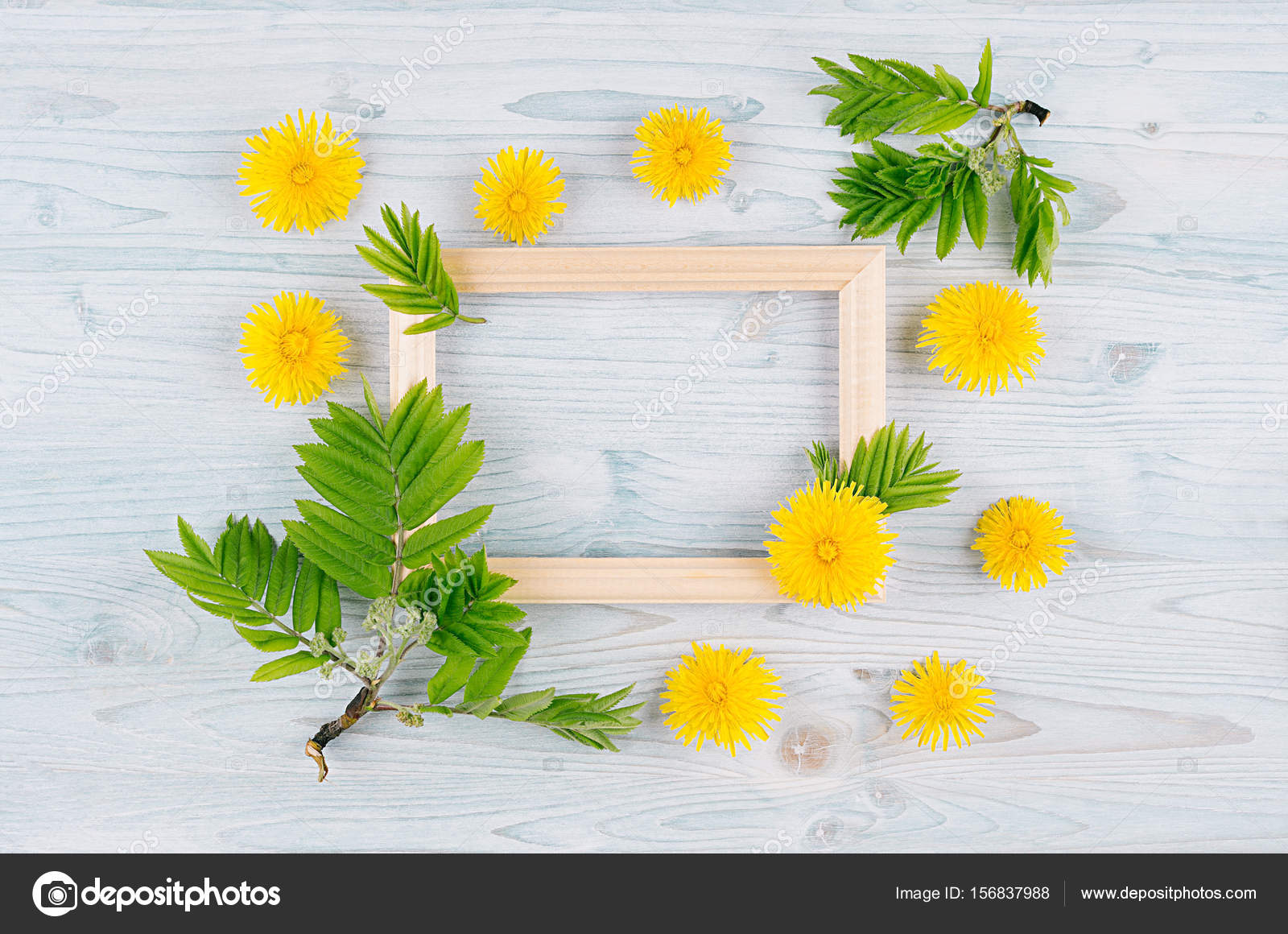 Yellow Spring Background