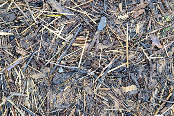 Lawn mulch Stock Photos, Royalty Free Lawn mulch Images | Depositphotos