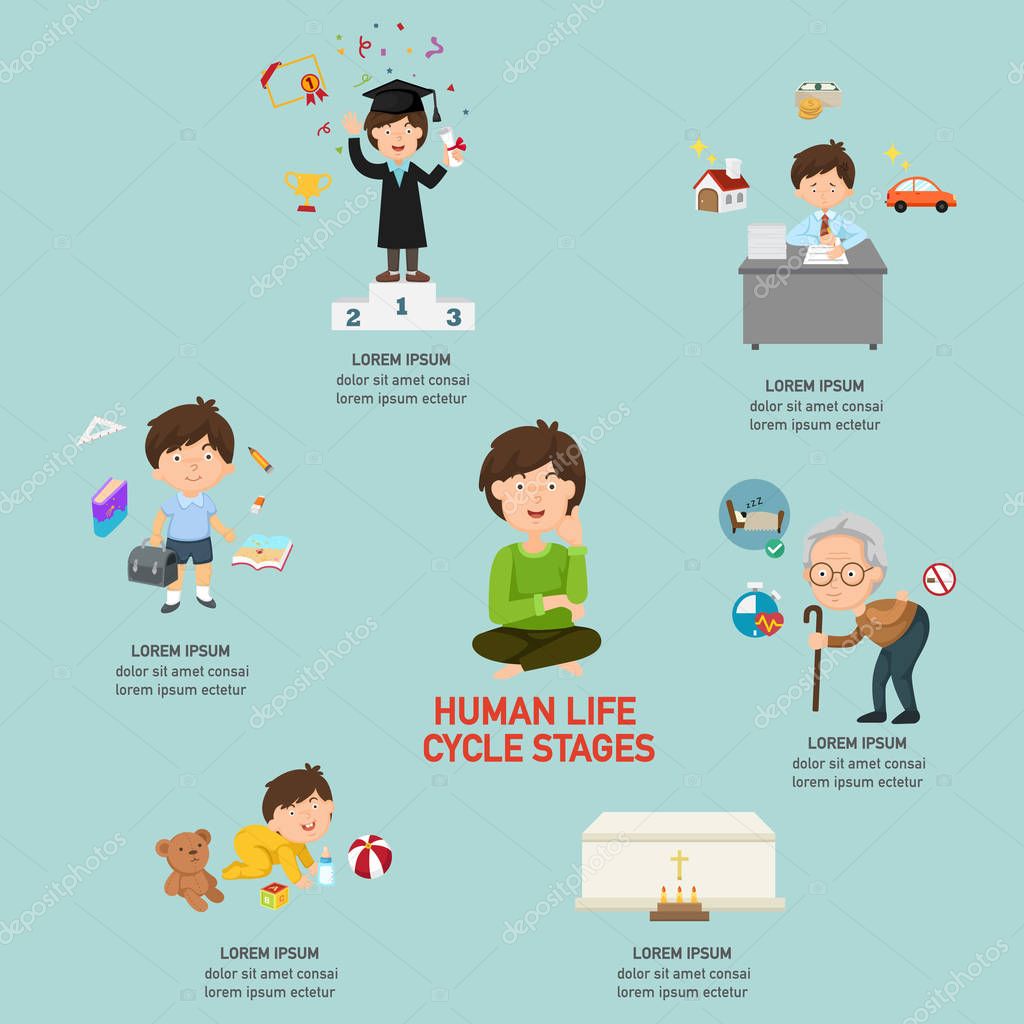 Infografía de etapas del ciclo de vida humano, ilustración vectorial. 2024
