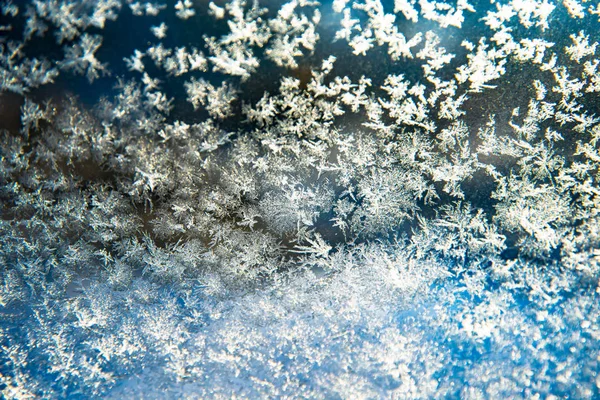 snowflakes on a blurred foreground - Stock Image - Everypixel
