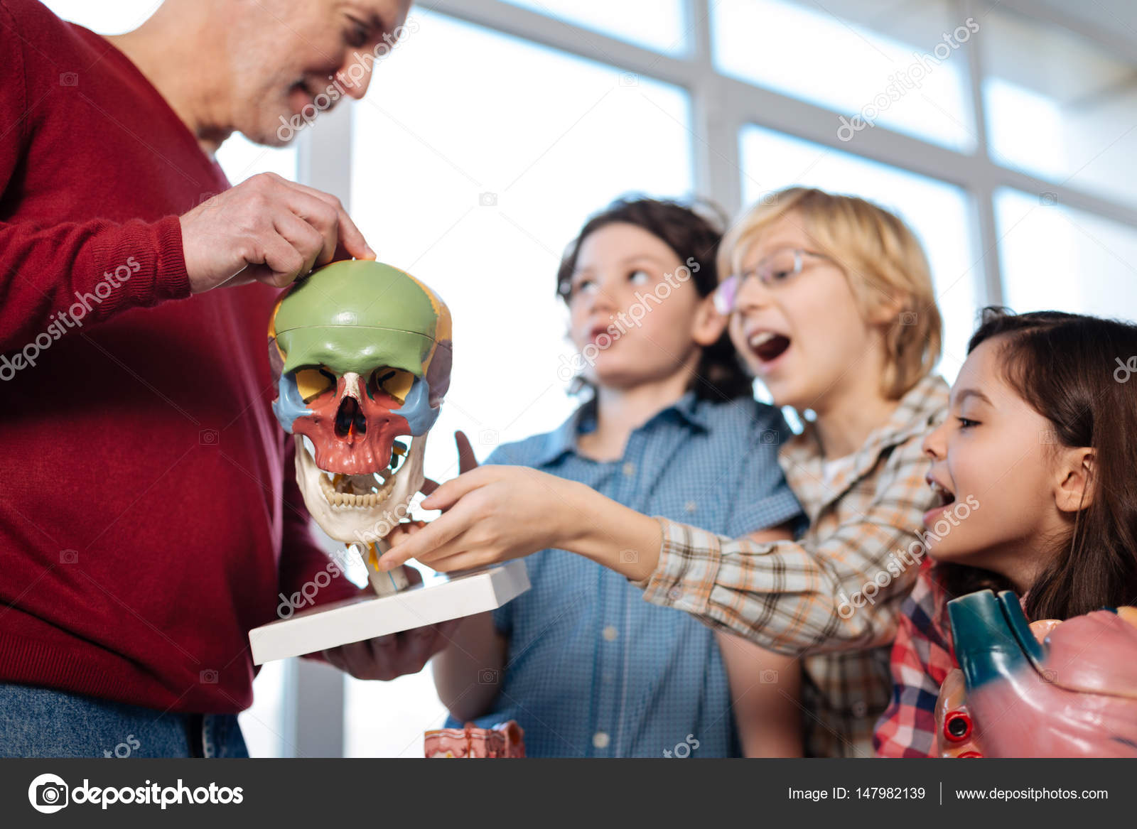 Lively bright children wanting to know things — Stock Photo ...