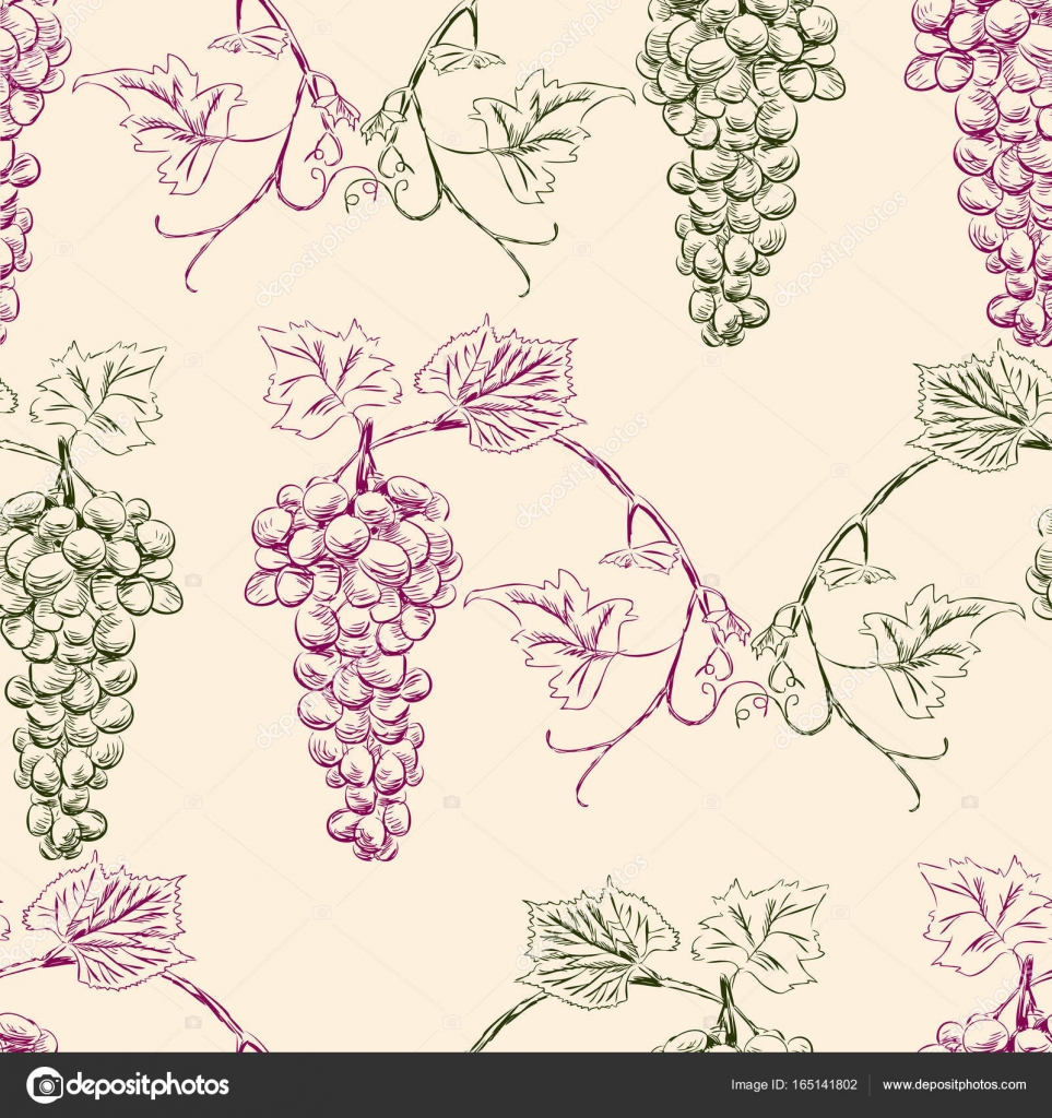 Pattern of the grape clusters Stock Vector Image by ©chronicler101 ...