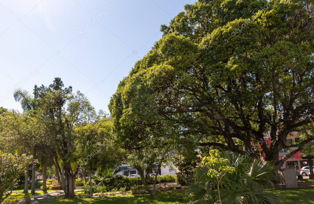 Paisaje urbano en la ciudad de Osorio, una ciudad costera del estado de ...
