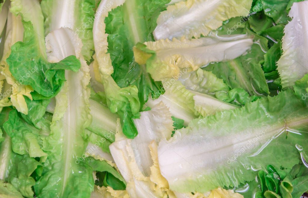 Lactuca sativa var crispa. Este es el nombre científico de la lechuga ...