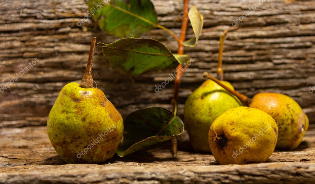 Frutos frescos de pera (Pyrus communis L. La pera es el fruto ...