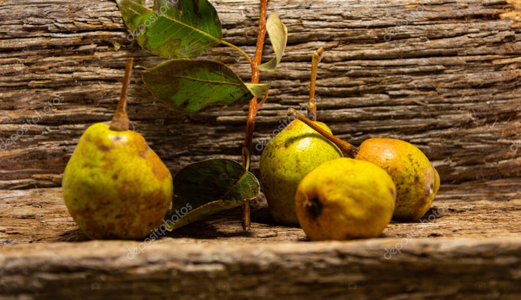 Frutos frescos de pera (Pyrus communis L. La pera es el fruto ...