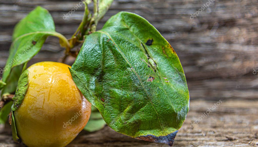 Cesta de mimbre con limón Limón cítrico. Citrus latifolia. Cítricos ...