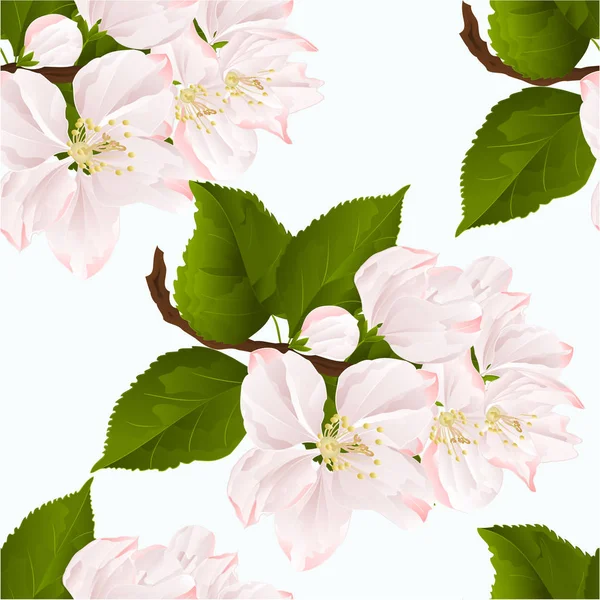 Seamless Texture Twig Apple Tree Flowers Blue Background Vintage Vector ...