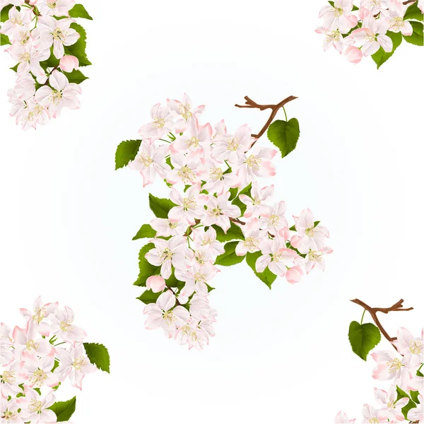 Seamless Texture Twig Apple Tree Flowers Blue Background Vintage Vector ...