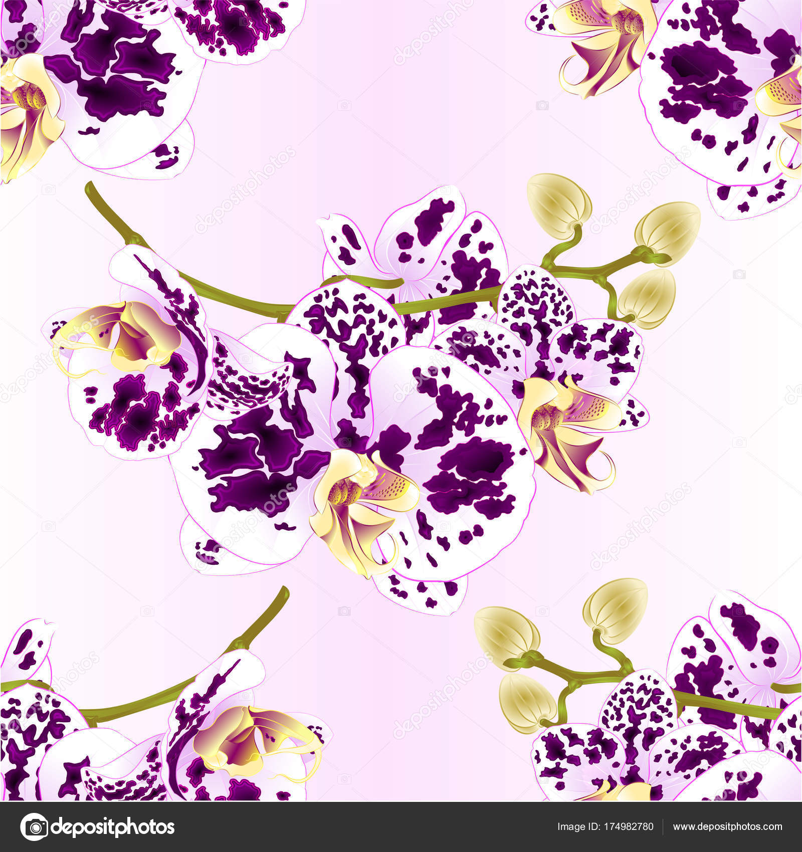 Seamless Texture Branch Orchids Flowers Spotted Purple White