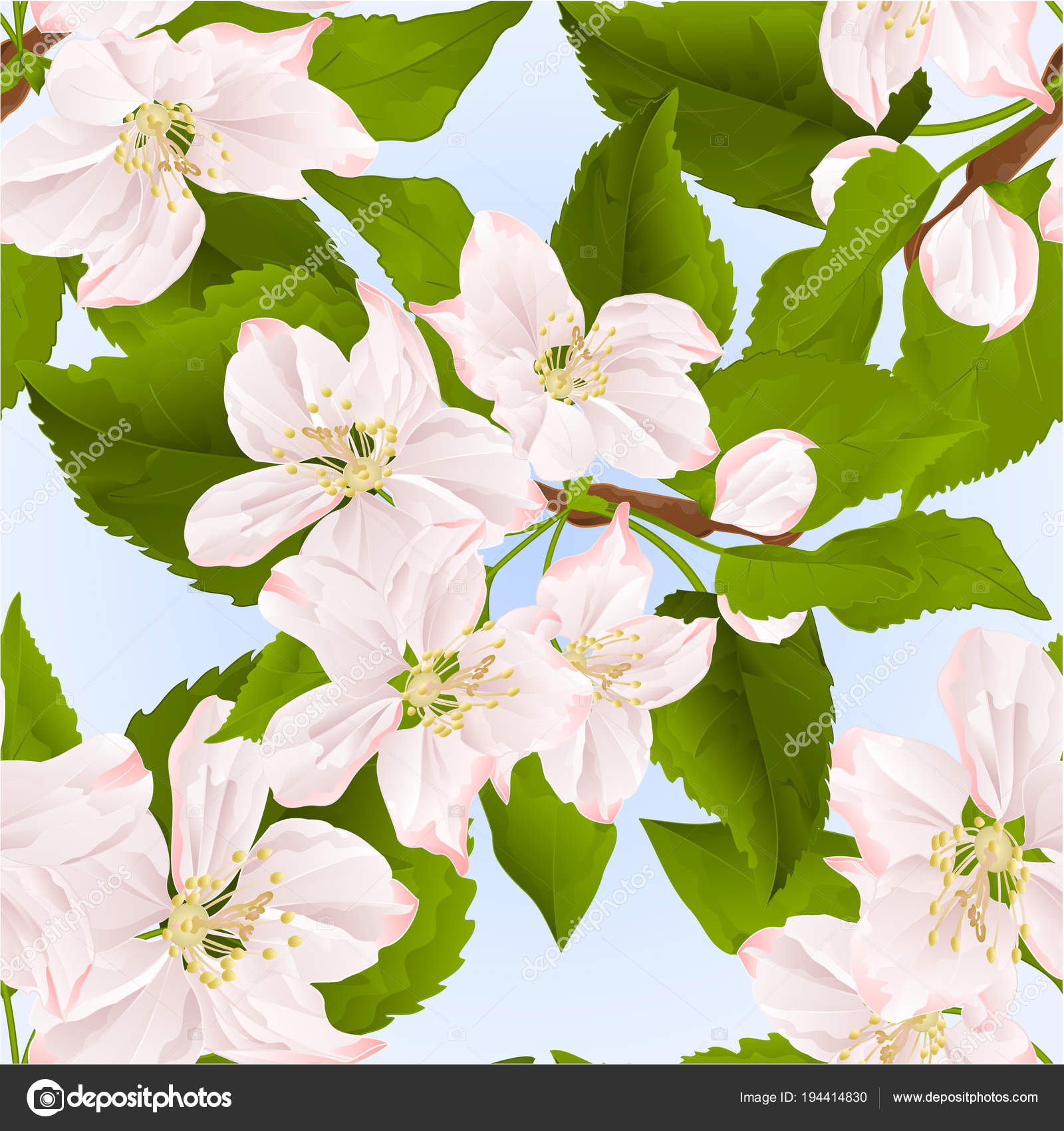 Seamless Texture Twig Apple Tree Flowers Blue Background Vintage Vector ...