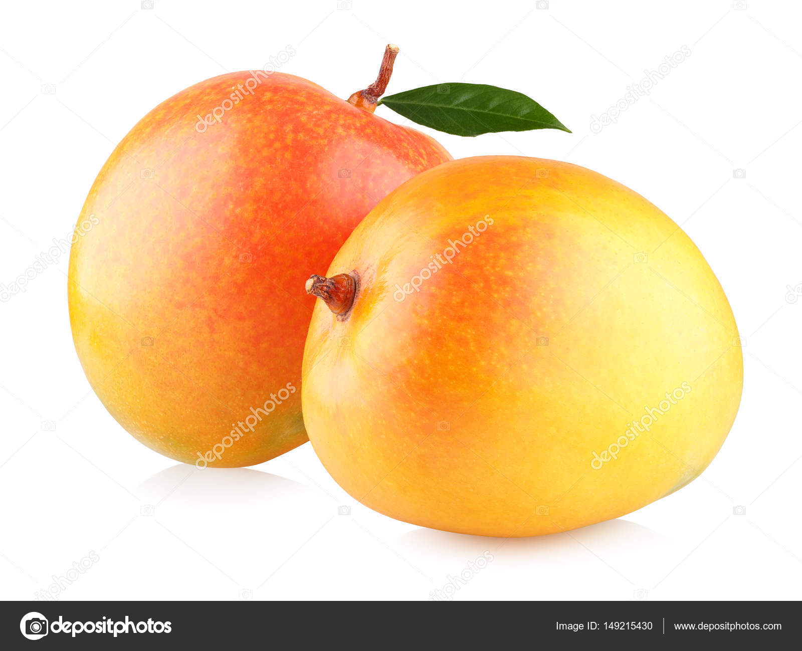 Two ripe mangoes Stock Photo by ©mvw@tut.by 149215430