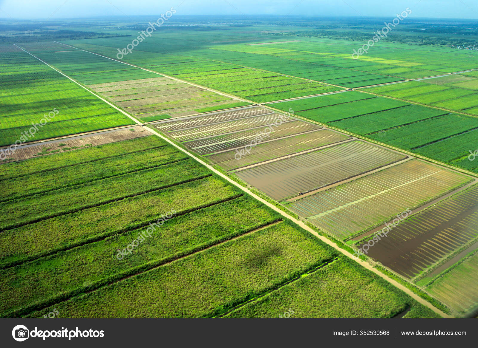 Bird's Eye View Fields Water Channels Taken Plane Suburb Georgetown ...