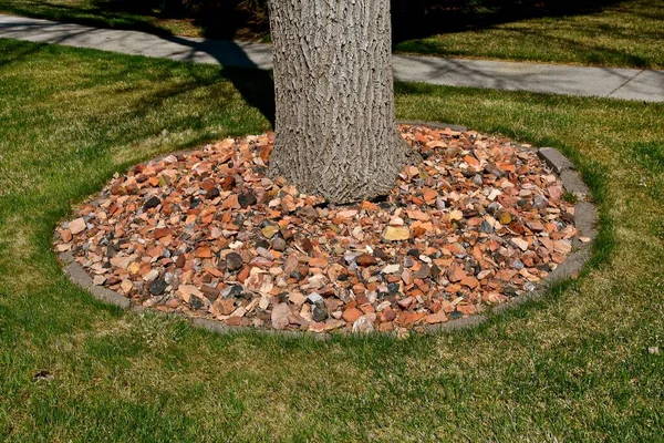 Mulch around tree Stock Photos, Royalty Free Mulch around tree Images ...