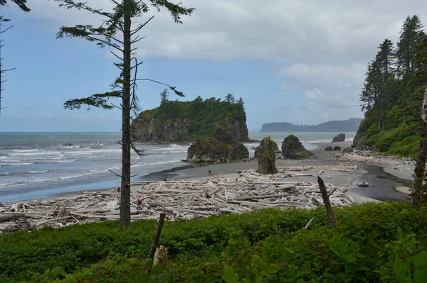 Ruby beach Stock Photos, Royalty Free Ruby beach Images | Depositphotos