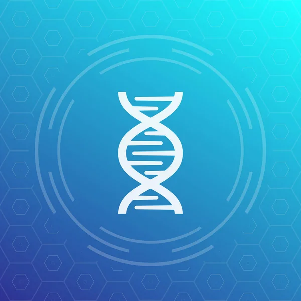 Chromosomen Paar Vector Art Stock Images Depositphotos