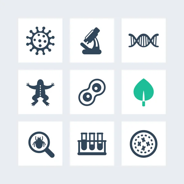 555 Mitosis Vector Images | Depositphotos