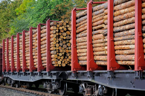 Timber train Stock Photos, Royalty Free Timber train Images | Depositphotos