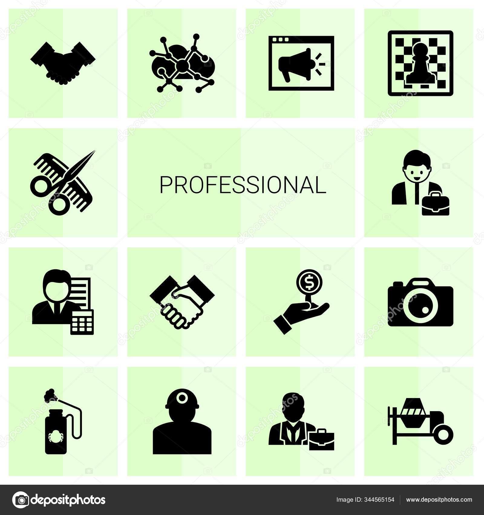 14 professional filled icons set isolated on white background. Icons ...