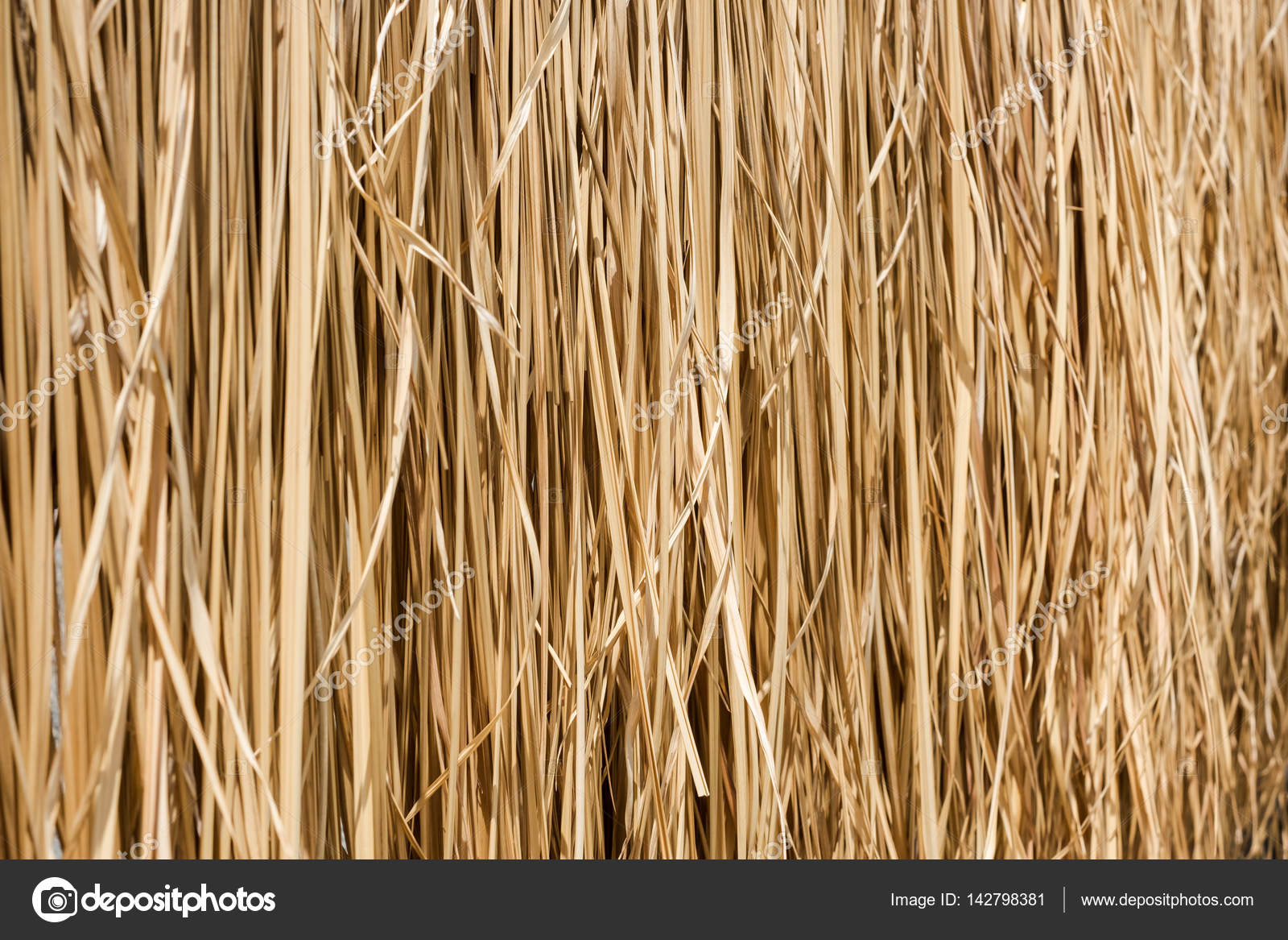 Yellow hay wall texture background,natural objetct Stock Photo by ...