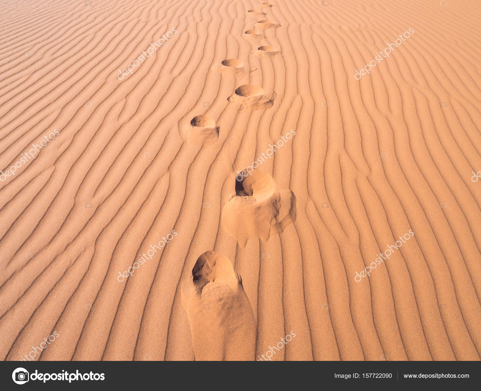 Footprints on a dune in Dead Vlei Stock Photo by ©magdalena.paluchowska ...