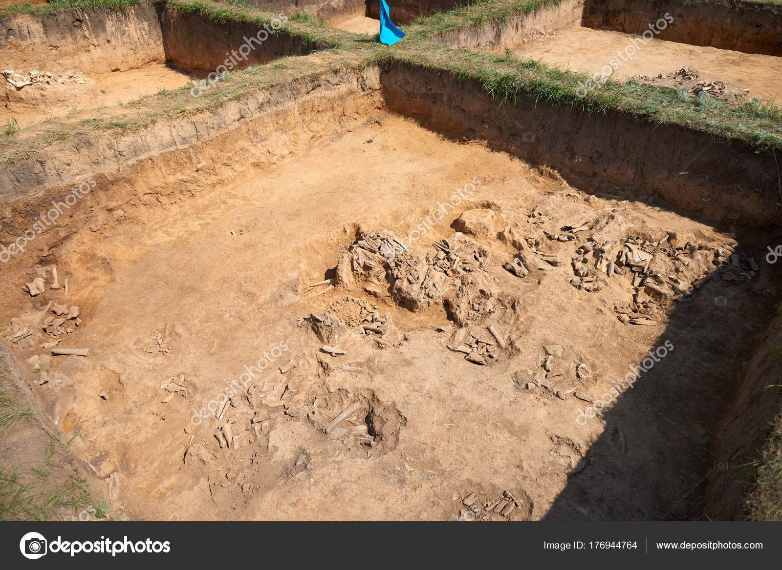 Archaeological Excavations Archaeology Excavation Exposure Processing ...