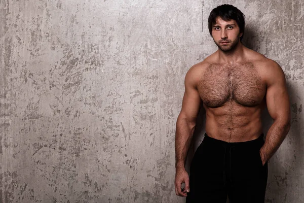 Torso velludo fotos de stock, imágenes de Torso velludo sin royalties ...