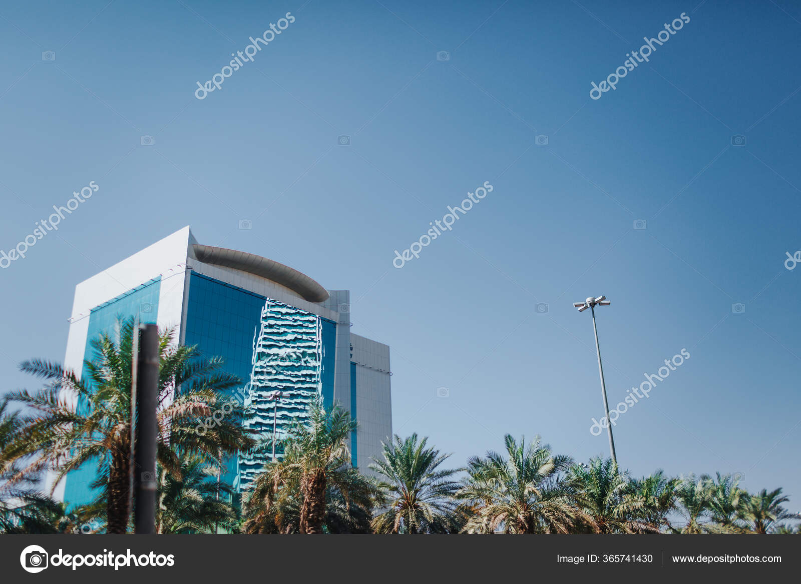 Sky and palm trees. Saudi Arabia Riyadh landscape - Riyadh – Stock ...