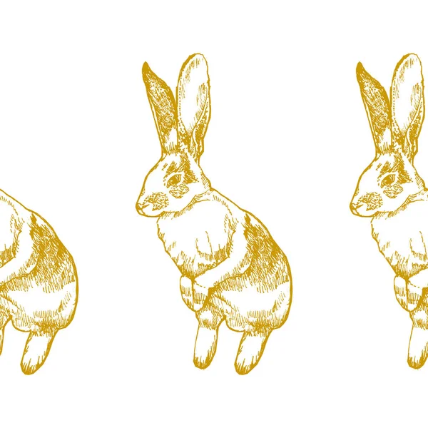 Rabbit line drawings Stock Photos, Royalty Free Rabbit line drawings ...