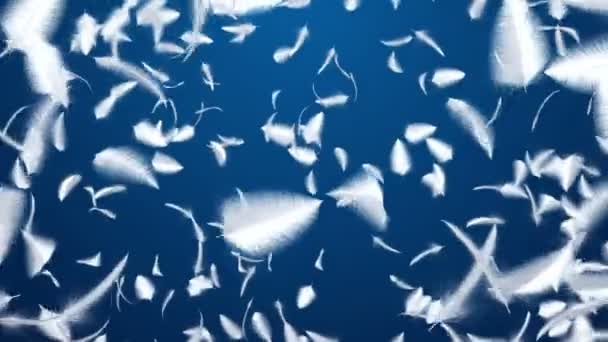 57 Kuğu vektörel Videos, Royalty-free Stock Kuğu vektörel Footage ...