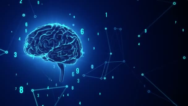 Animation Rotation Human Brain Flying Data Background Animation ...