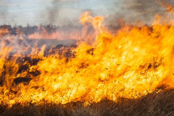 Field of fire Stock Photos, Royalty Free Field of fire Images ...