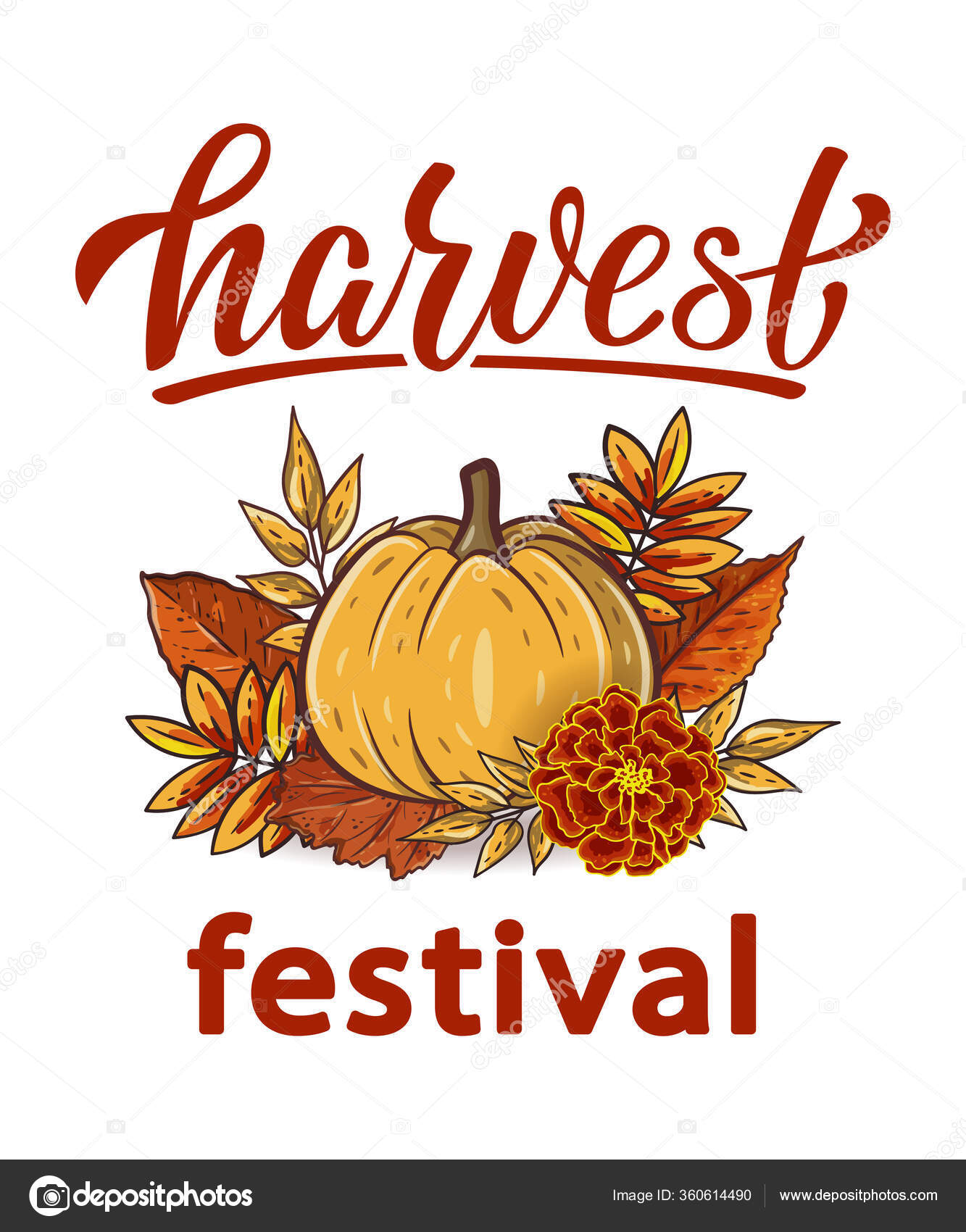 Harvest Festival Hand Drawn Lettering Text Autumn Leaves Pumpkins Rowan ...