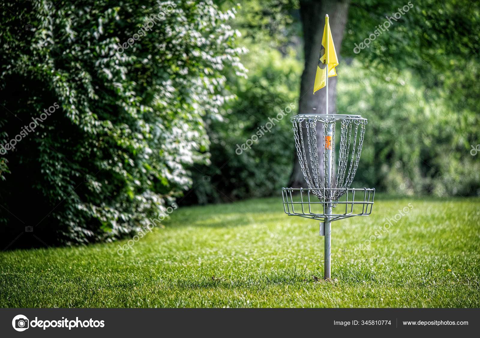 Disc Golf Hole Green Grass Woods Background Stock Photo by ...
