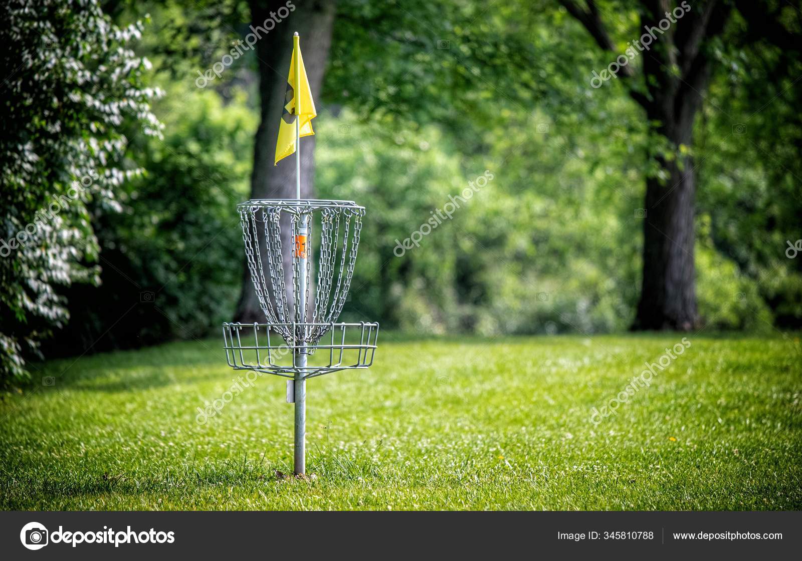 Disc Golf Photography