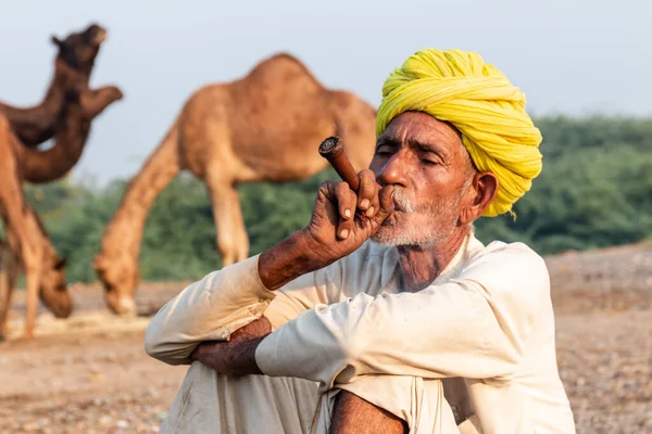 Camel salesman fotos de stock, imágenes de Camel salesman sin royalties ...