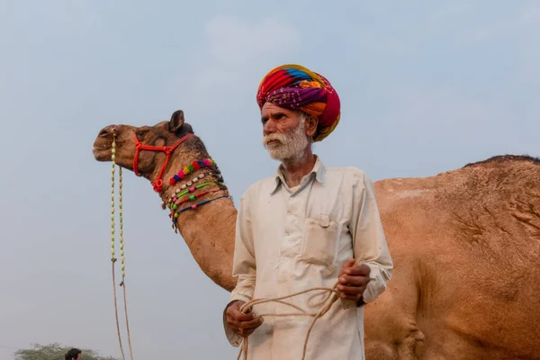 Camel salesman fotos de stock, imágenes de Camel salesman sin royalties ...