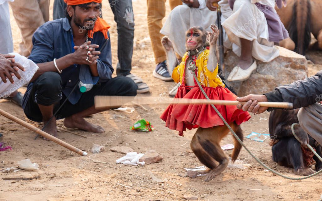 PUSHKAR, RAJASTHAN / INDIA - NOVIEMBRE 2019: Hombre indio que atrae turistas para el espectáculo ...