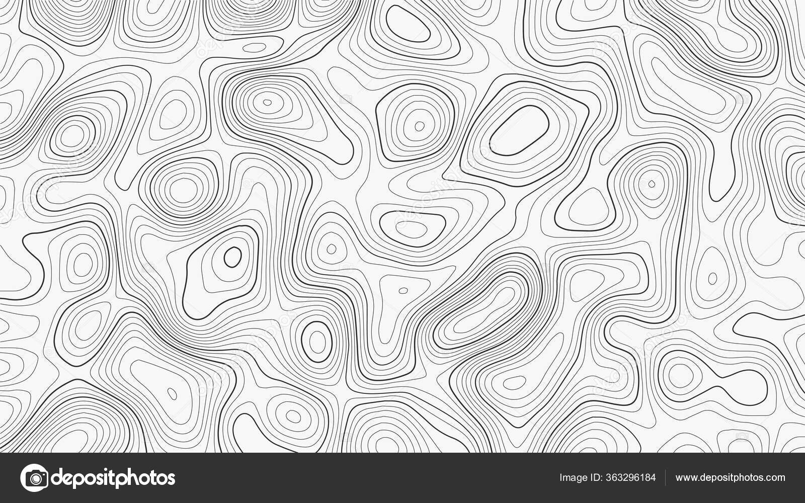 Topographic Map White Background Vector Grid Map Stock Vector Image by ...