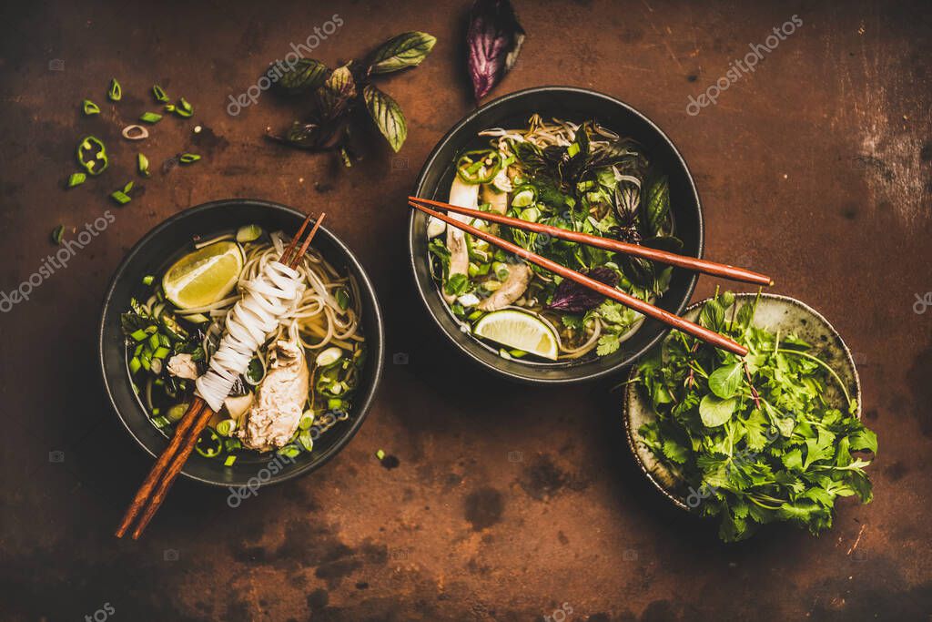Almuerzo de cocina asiática. Piso plano de sopa de pollo vietnamita Pho ...